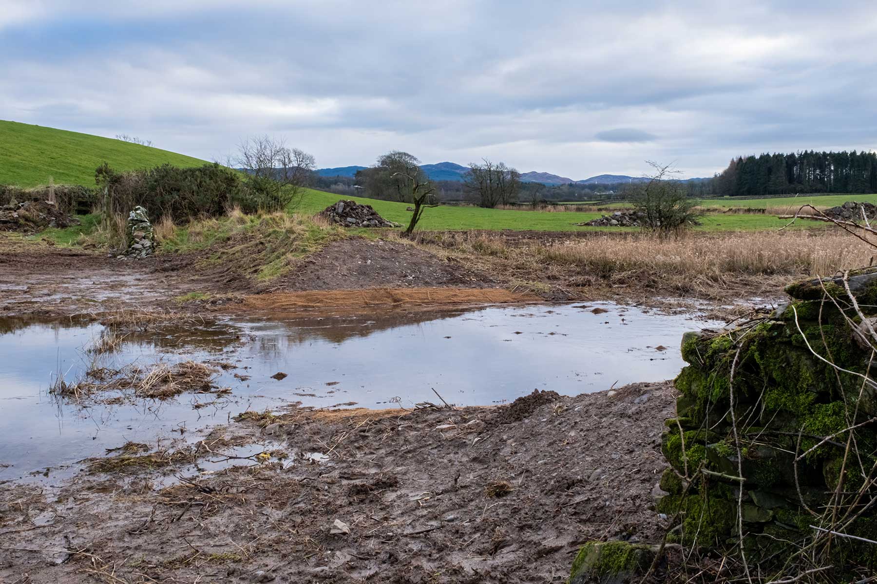 Landscape Recovery schemes: things to consider - Michelmores